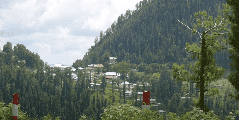 Muree Tour Packages: Best Tour for Your Dream Getaway in...