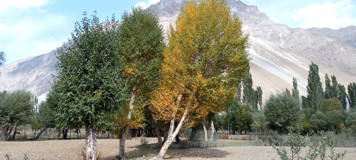 12 BEST Things to Do in Pakistan – 2024: Discover the beauty